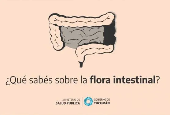 Flora Intestinal: Qué es y cuál es su importancia en la salud